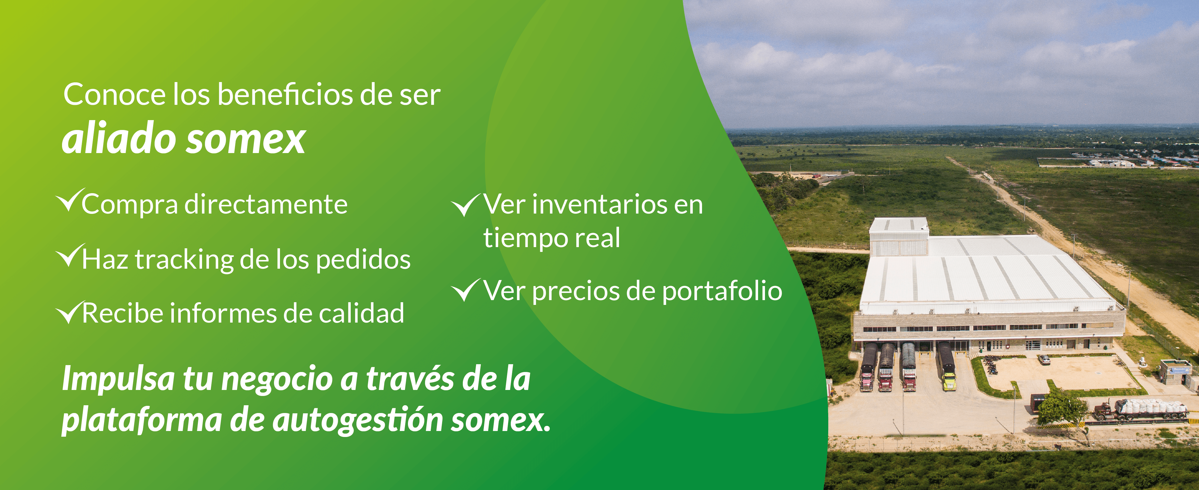 Aliados Somex